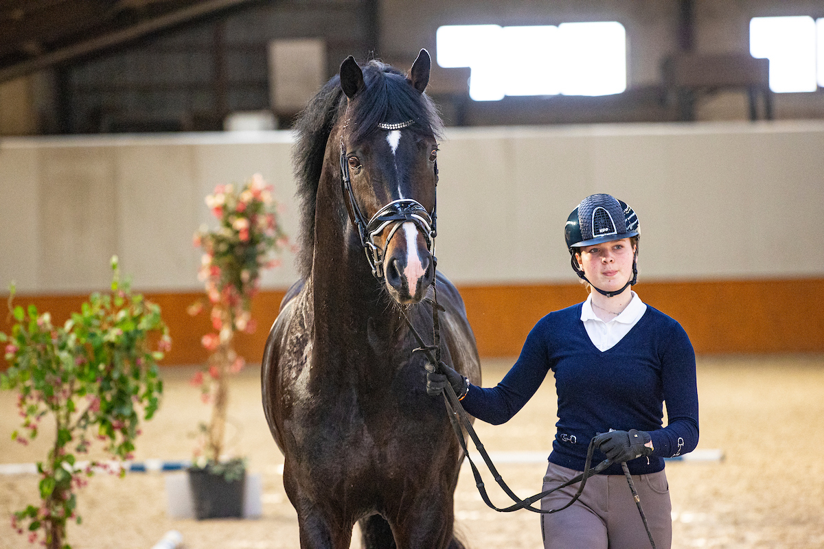 In beeld: Onstuimige dressuurweek op CDI3* Exloo - DigiShots