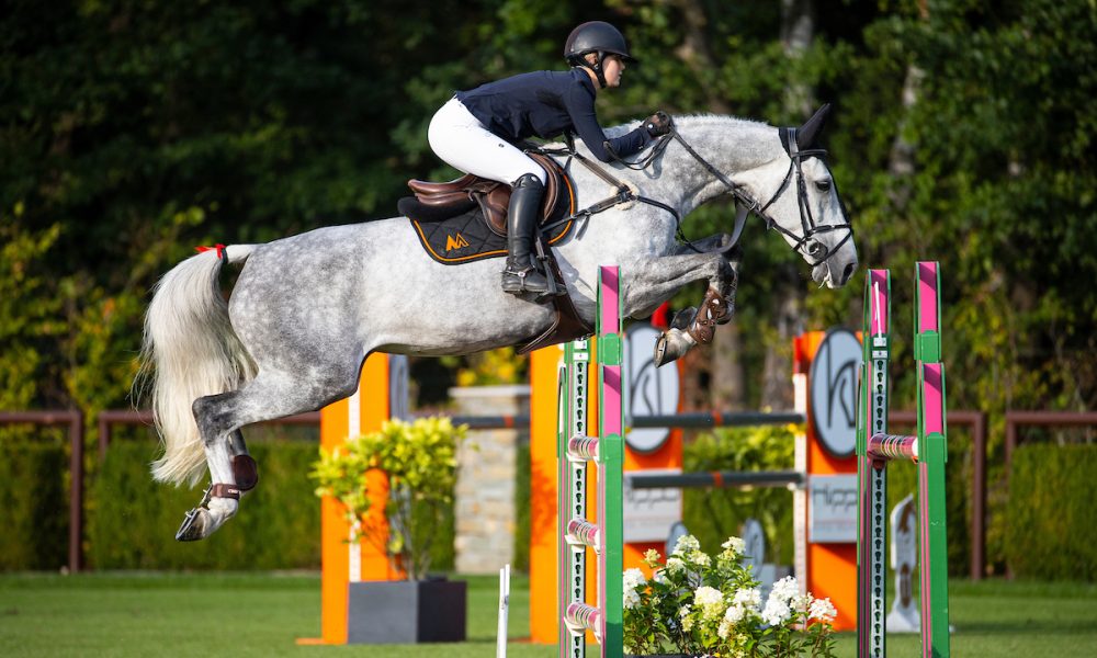 Blom Cup-finalists announced for tomorrow's KWPN Young Horse Championship - DigiShots