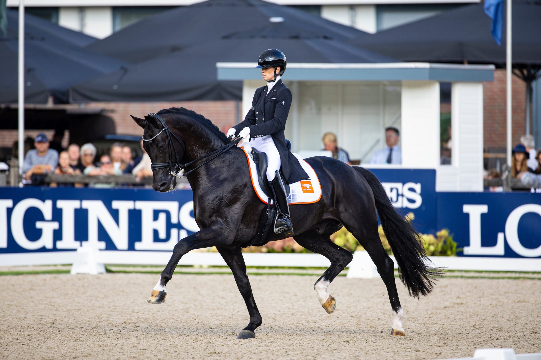 Another Championship title for seven-year-old Kjento - DigiShots