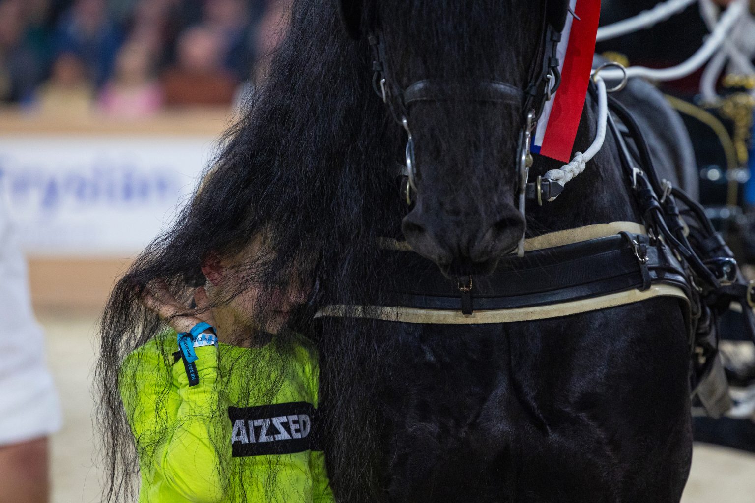 Nane 492 wins 'Horse of the Year' and 'Silver Bowl' - DigiShots