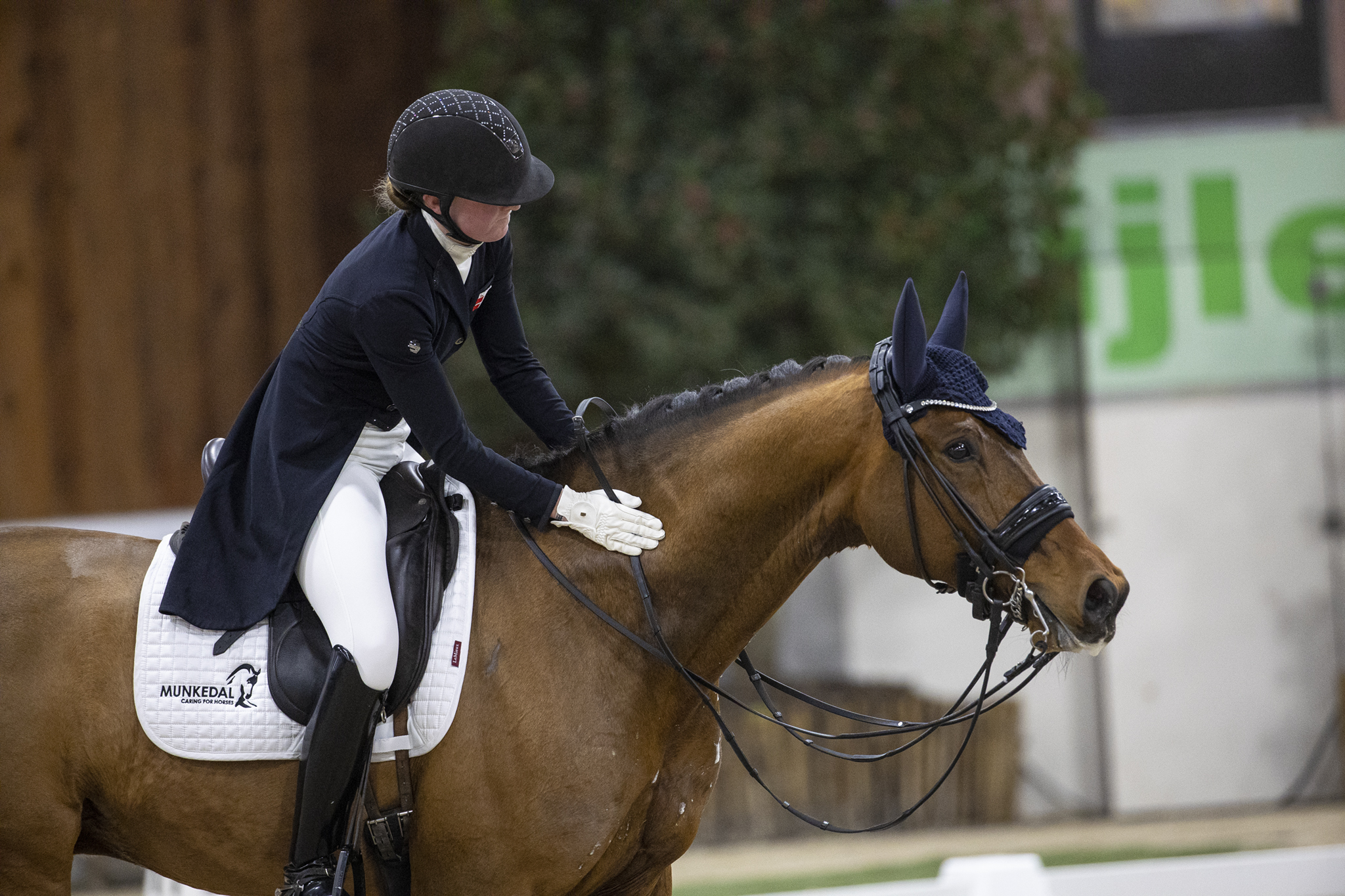 CDI Lier: Danish Ida Kirstine Bjørn smashes the Young Riders freestyle ...